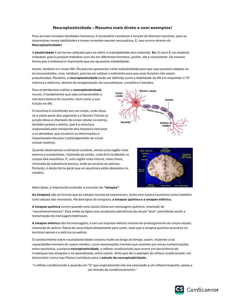 Neuroplasticidade - Resumo-1 | PDF | Neuroplasticidade | Neurônio