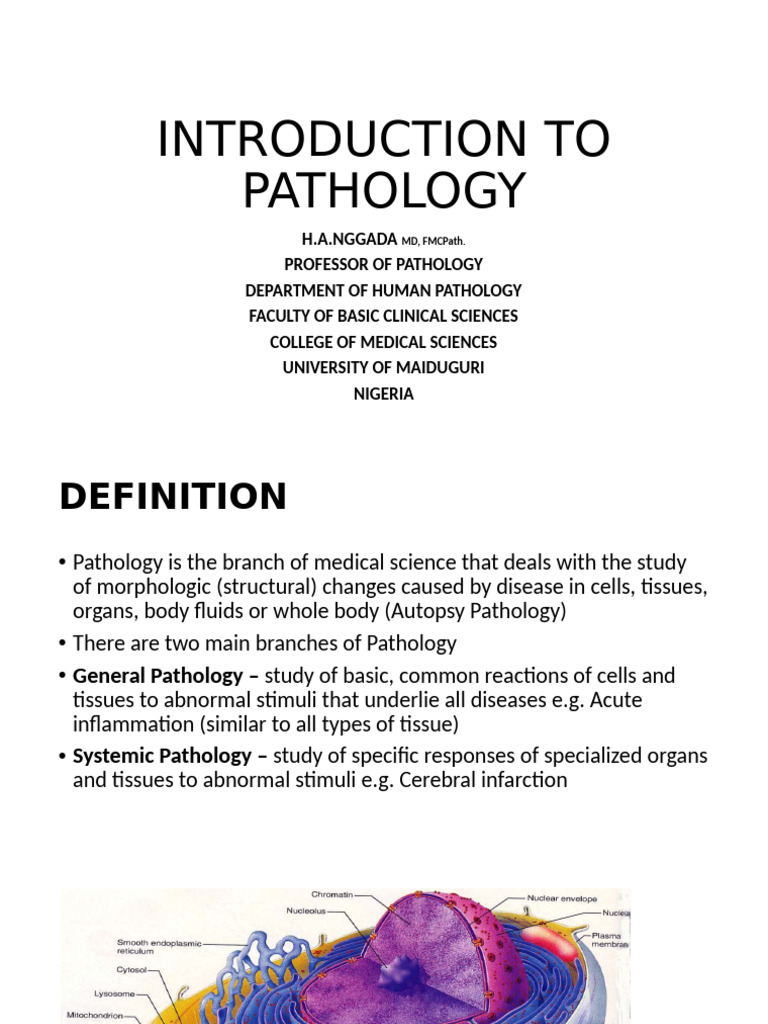 Introduction to Pathology Overview | PDF | Necrosis | Apoptosis