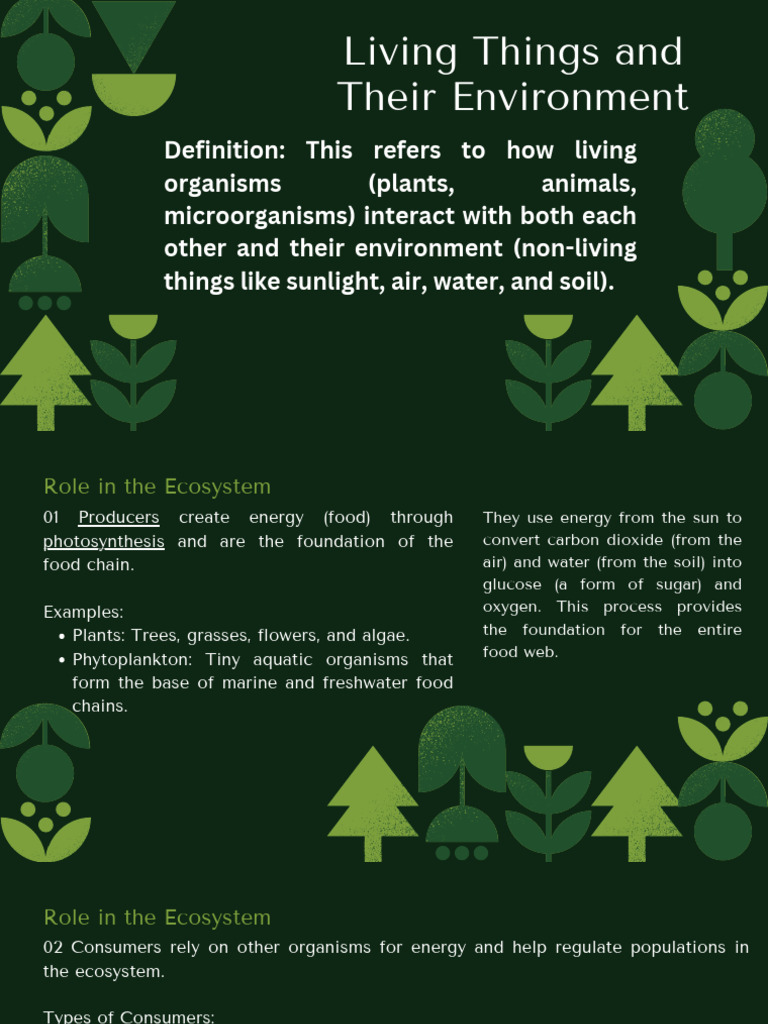 Ecosystem Roles Producers Consumers Decomposers Pdf Plants Foods