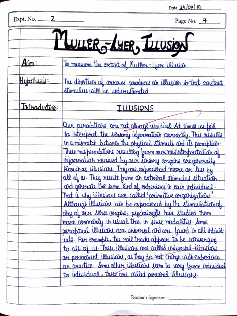 Muller Lyer Activity | PDF