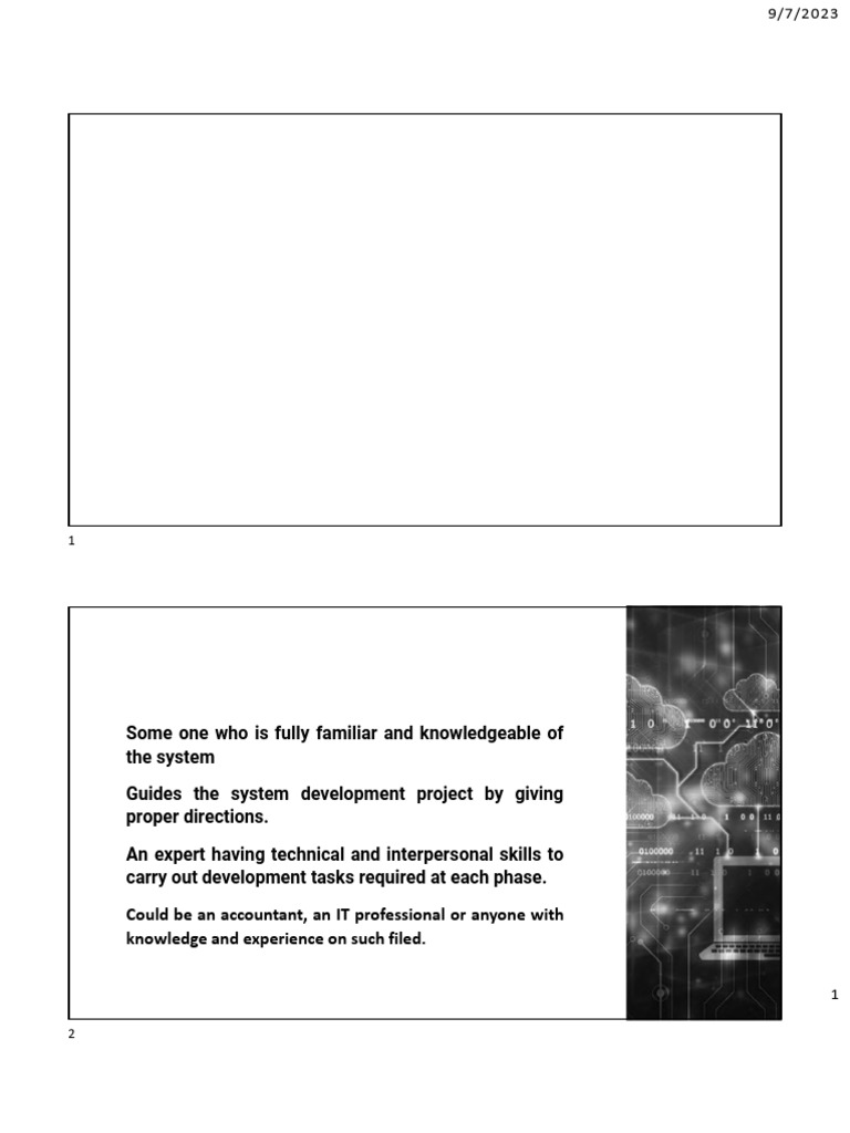 03 Roles of Systems Analysts | PDF | Knowledge | Usability