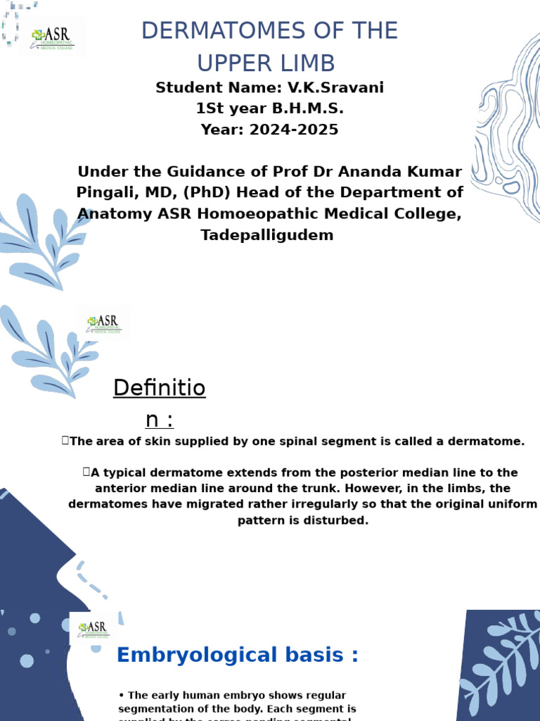 Upper Limb Dermatome Overview | PDF | Anatomical Terms Of Location ...
