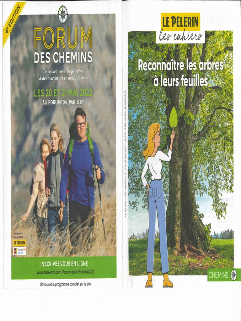 Reconnaître Les Arbres À Leurs Feuilles | PDF