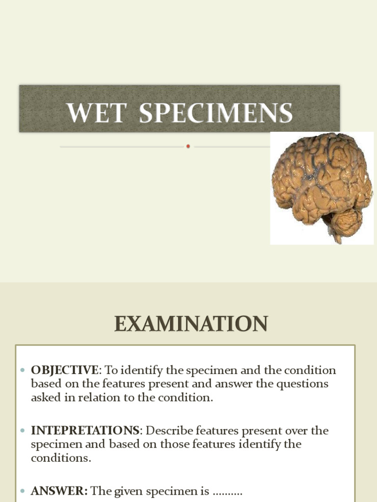Wet Specimens and Their Conditions | PDF