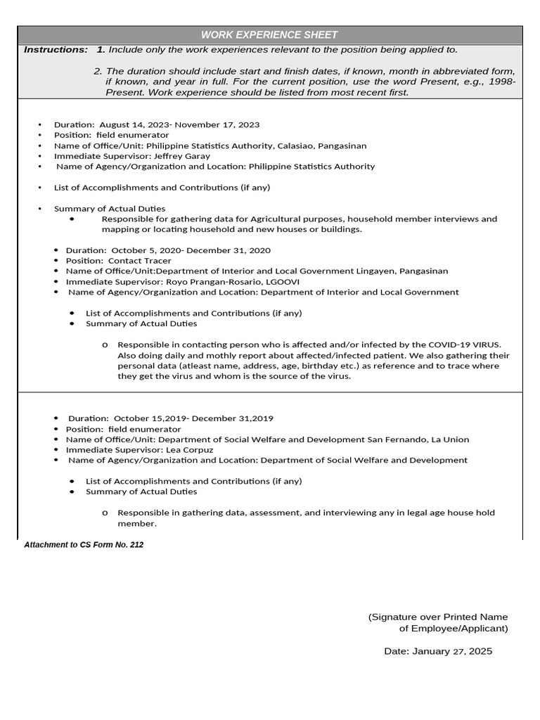 2025 Work Experience Sheet Template | PDF