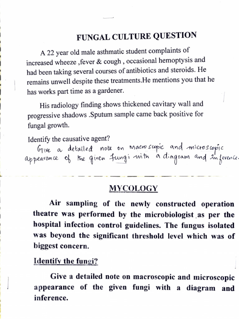 Fungal Culture Identification | PDF
