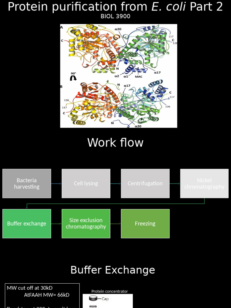 Week8 Protein Purification Part 2 | PDF | Protein Purification ...