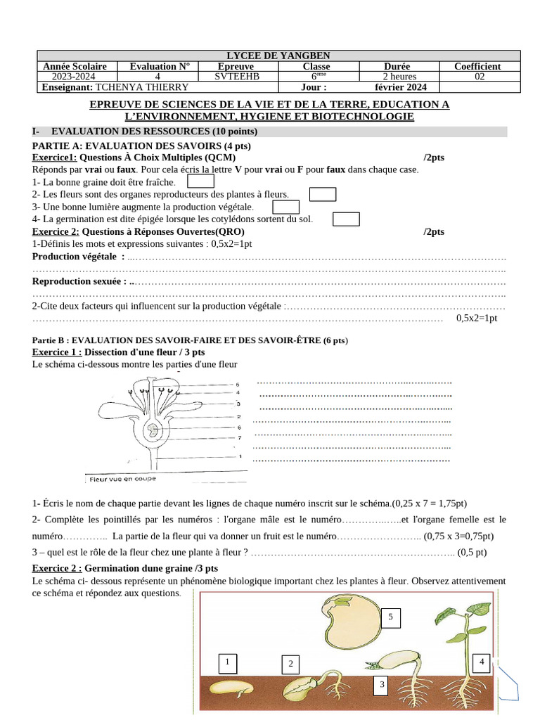 Seq 4 6e Ygb | PDF | Fleurs | Biologie