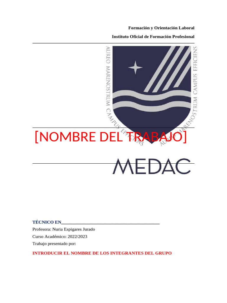 Plantilla para La Realización de Actividades | PDF