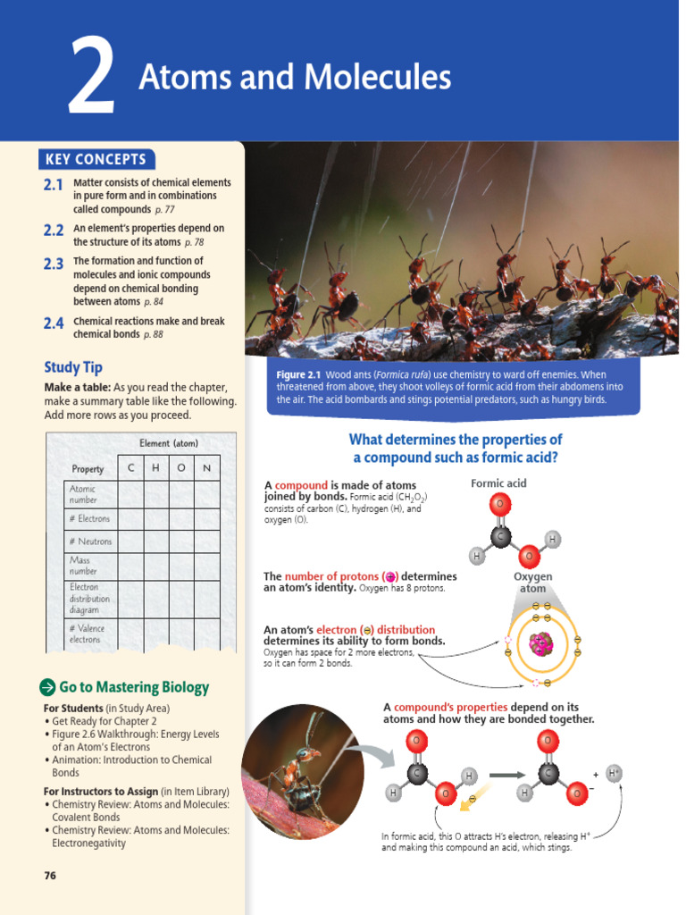 Chapter 02 Atoms and Molecules | PDF | Isotope | Atoms