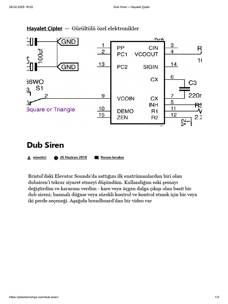 Dub Siren - Hayalet Çipler | PDF