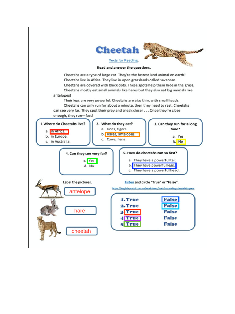 cheetah | PDF