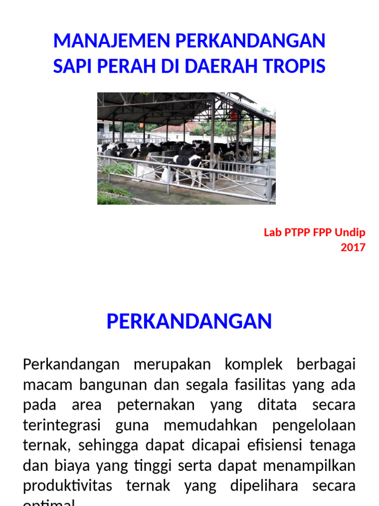 Manajemen Kandang Sapi Perah Tropis | PDF