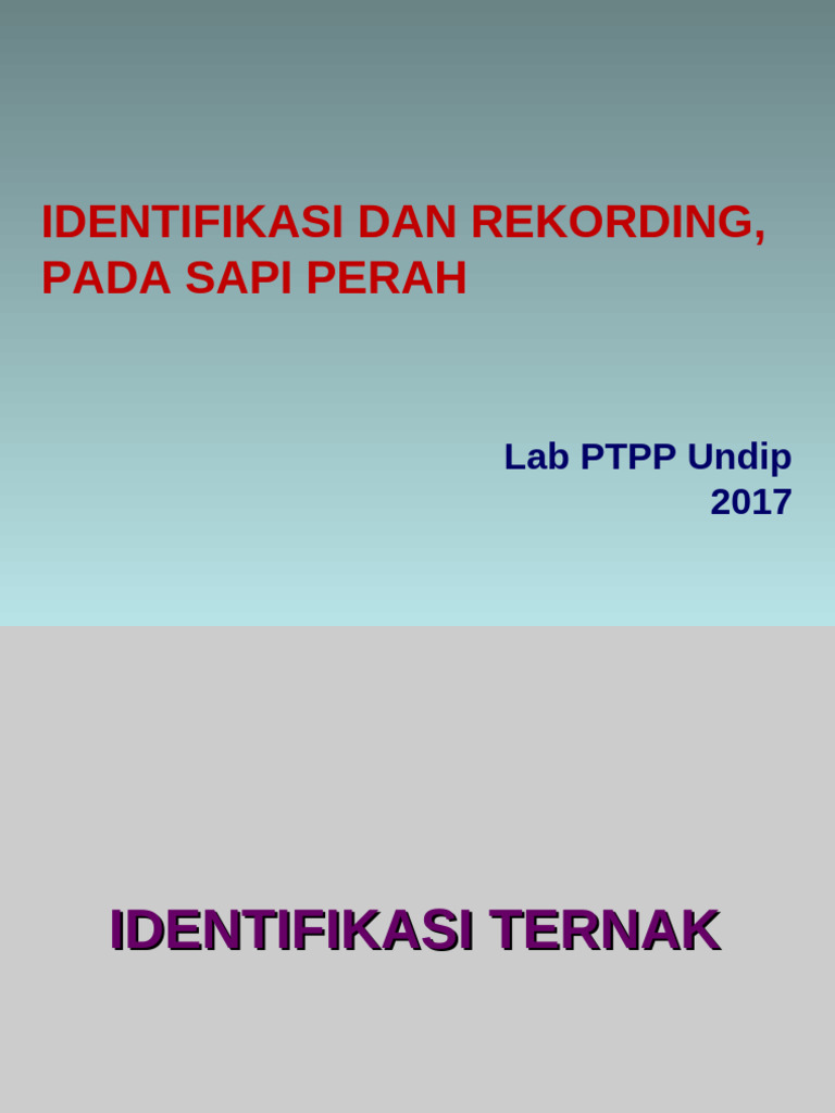 09 MTP Identification | PDF