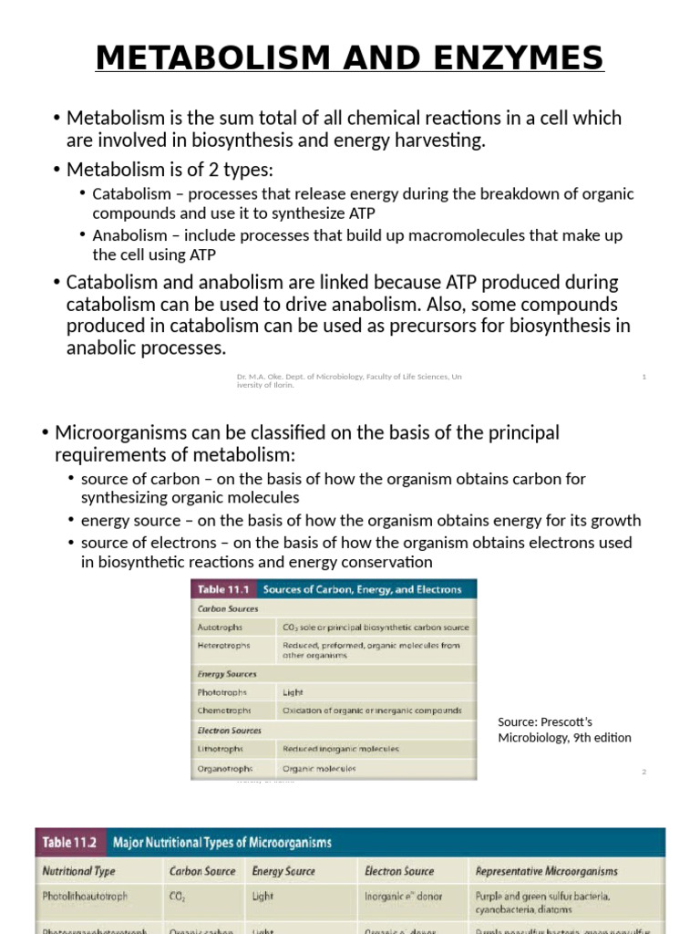 MCB 208 Metabolism and ENZYMES Slides | PDF | Metabolic Pathway ...