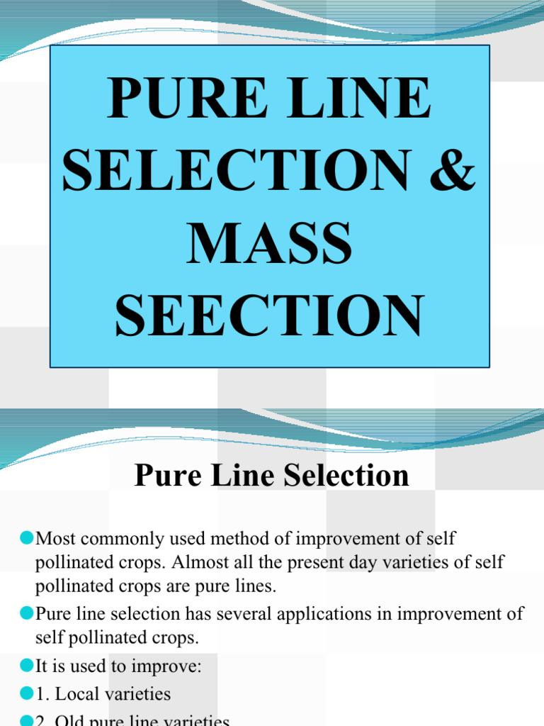 Pure Line Selection | PDF | Natural Selection | Genetic Diversity