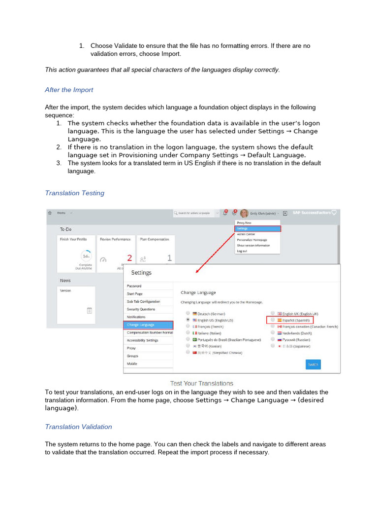 Translation Validation in SAP Systems | PDF | Json | Information Technology