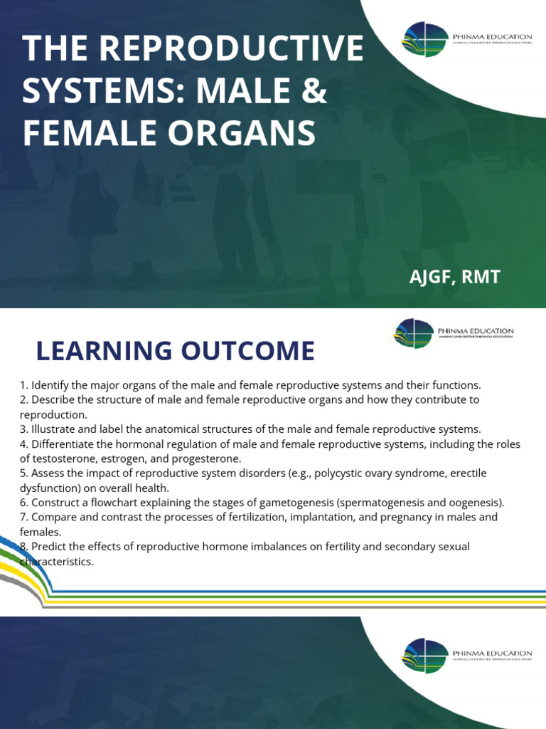 Male & Female Reproductive System | PDF | Menstrual Cycle | Ovary