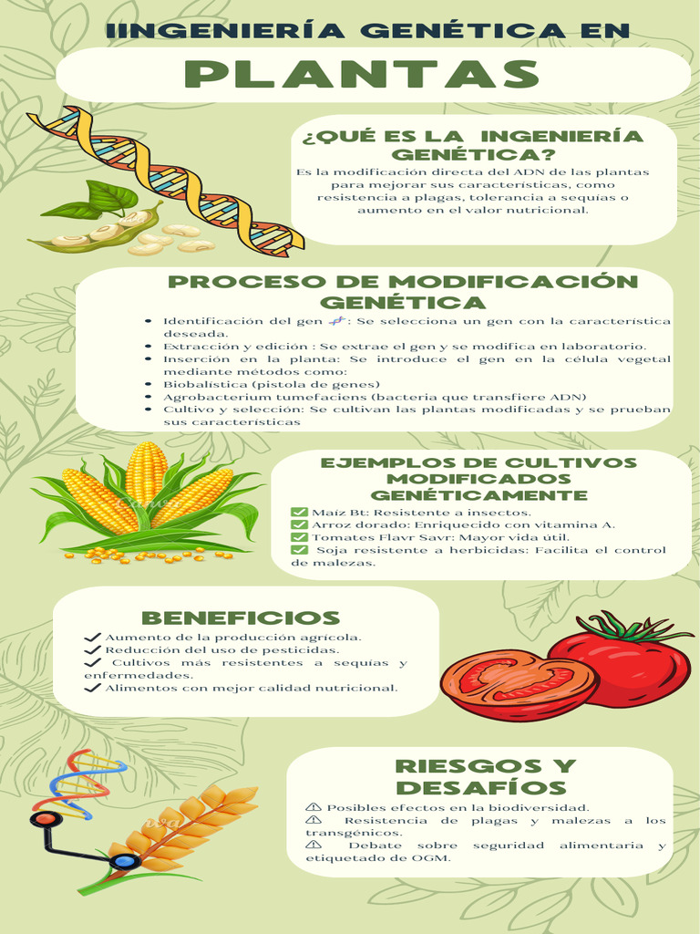 Infografía Consejos Para Cuidar A Tus Plantas Ilustrado Verde Pdf 8166