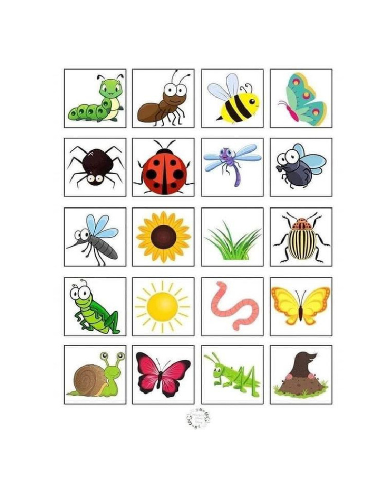 Clasificacion de Insectos Mili | PDF