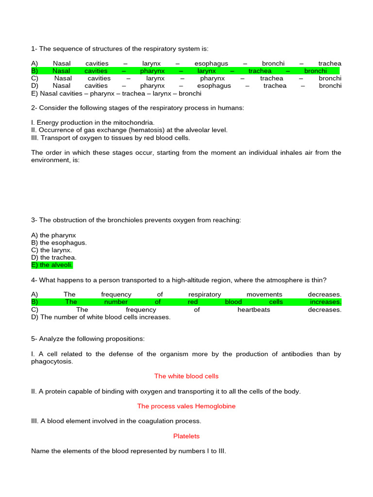 Answers Respiratory and Cardiovascular System | PDF | Respiratory Tract ...