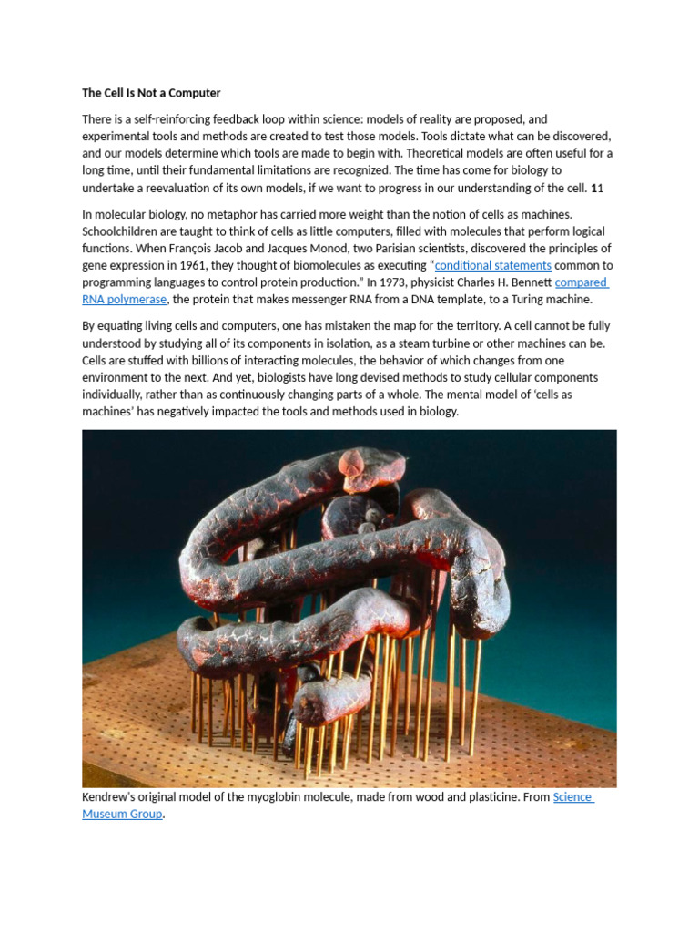 Rethinking Cells: Beyond Machine Metaphor | PDF | Proteins | Dna Sequencing
