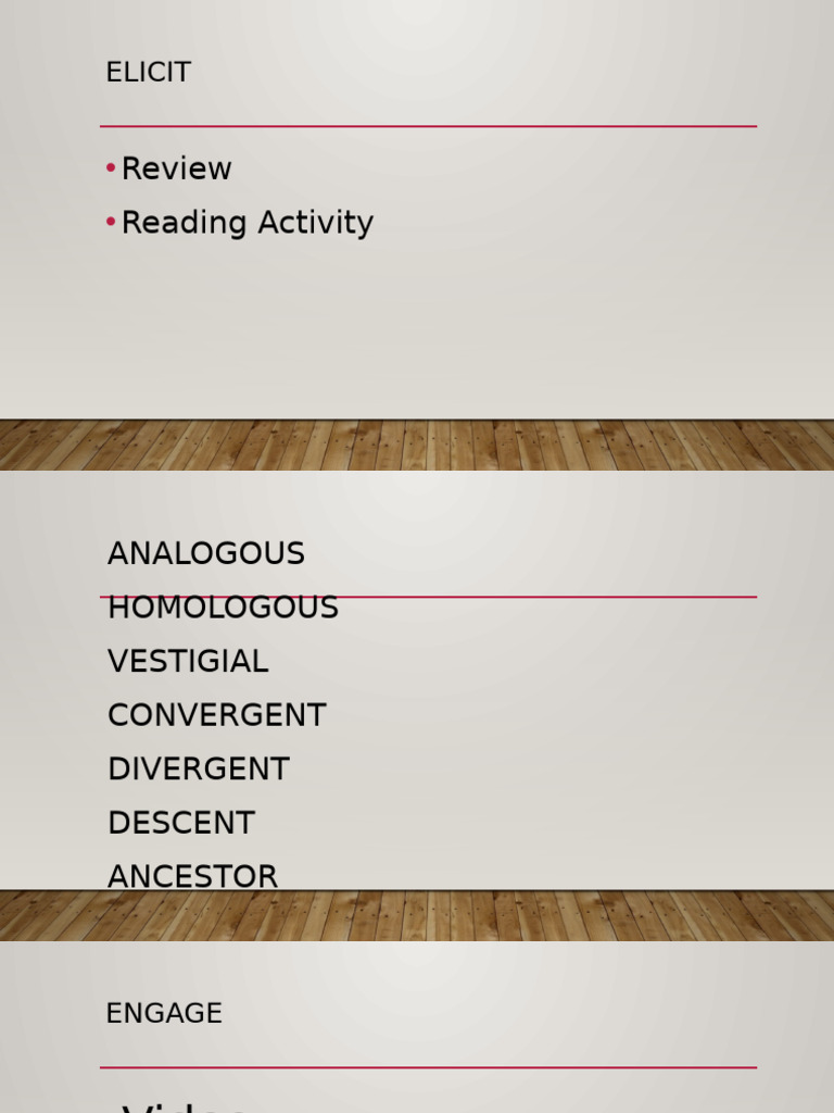 comparative-anatomy | PDF