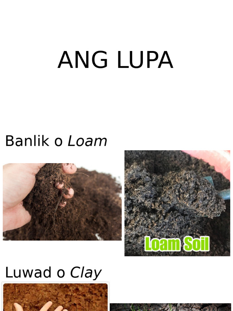 Ang Lupa | PDF
