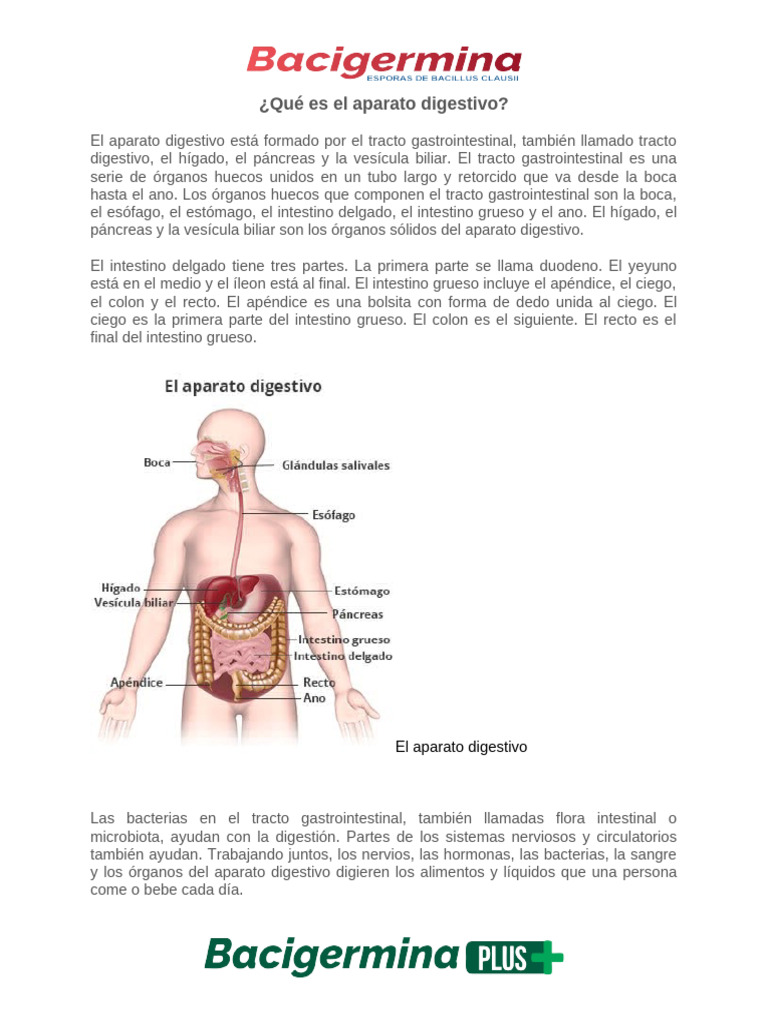 Manual Enterogermina 2 | PDF | Sistema digestivo humano | Tracto ...