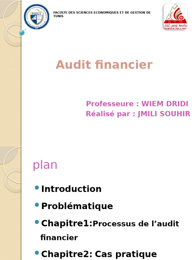 Processus d'Audit Financier | PDF | Audit | Audit financier