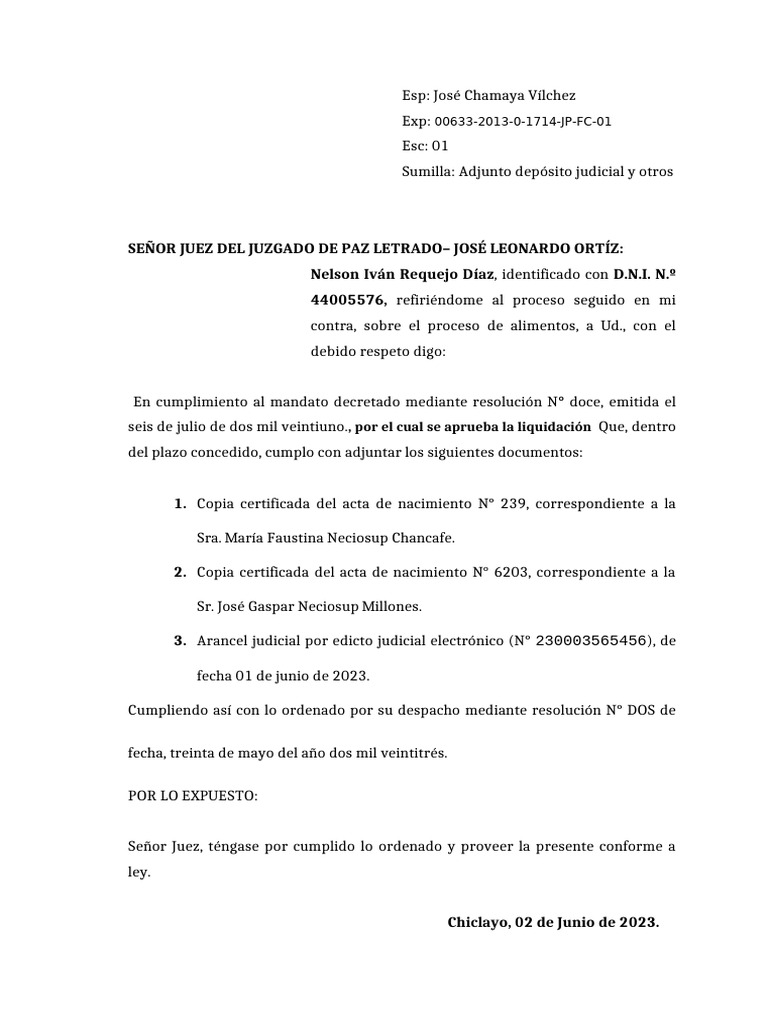 Modelo de Adjunto Documentos | PDF