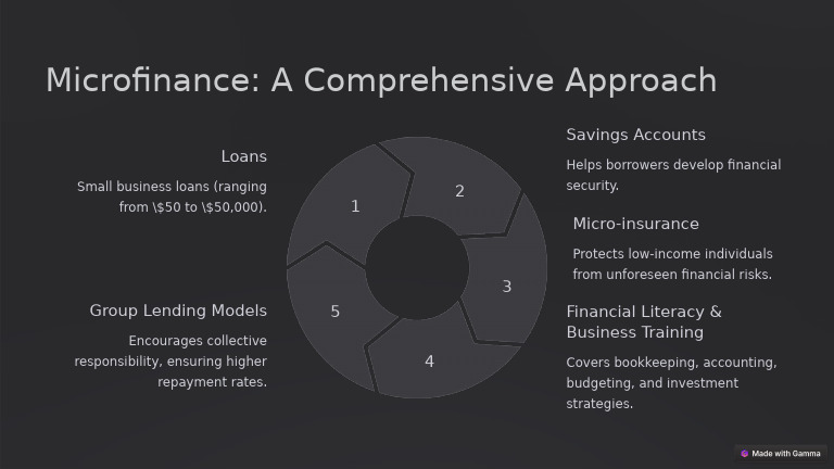 Microfinance A Comprehensive Approach | PDF