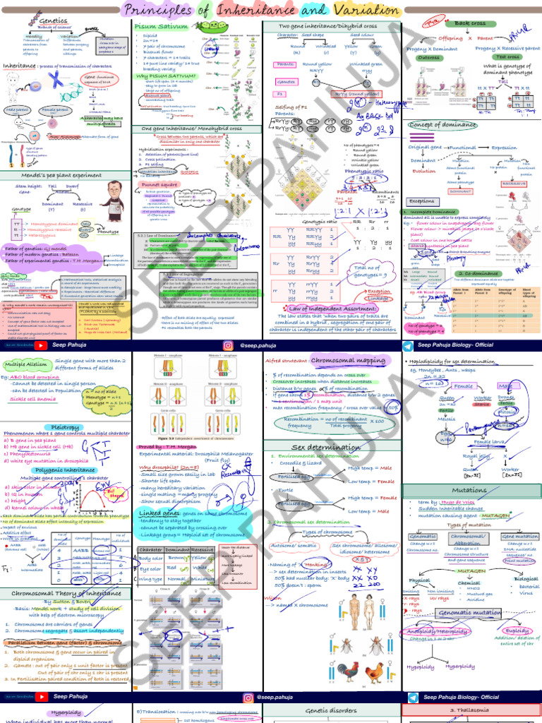 Genetics Mind Maps by Seep Pahuja - Watermark | PDF | Dominance ...