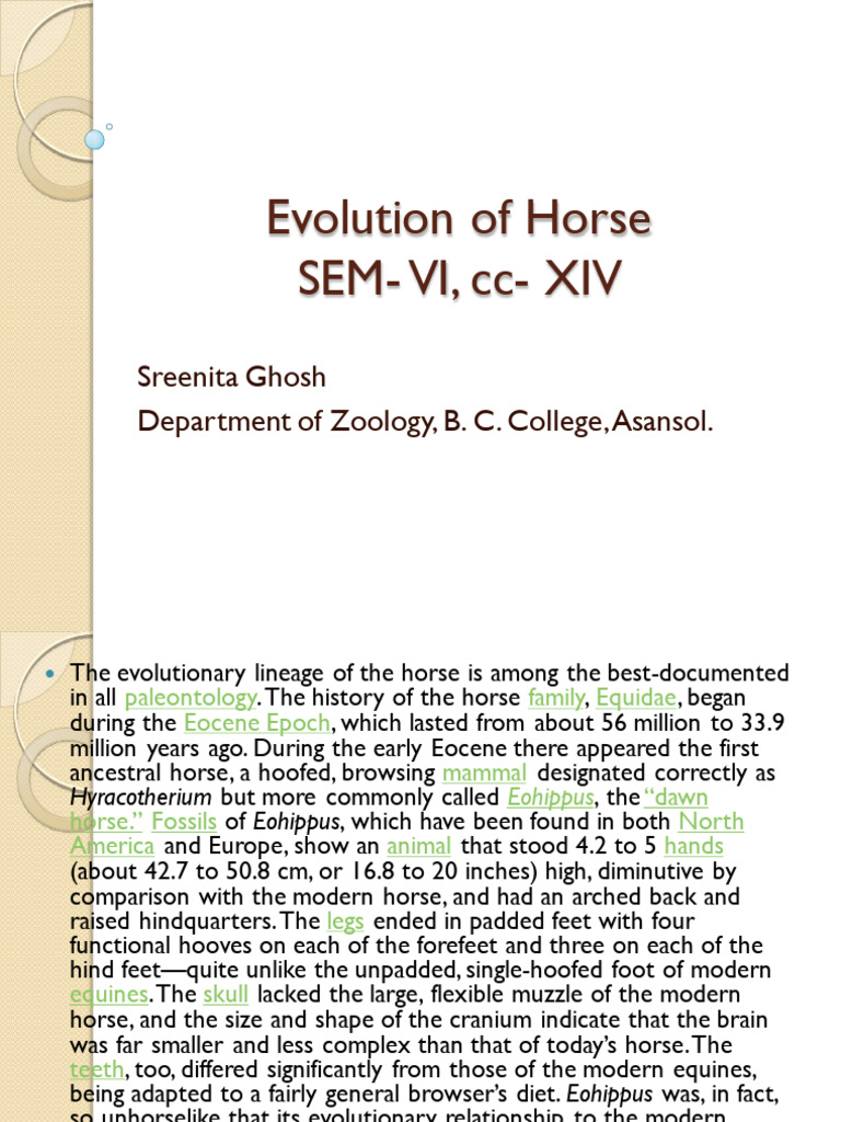 2004070631evolution of Horse SG | PDF | Equus (Genus) | Horses