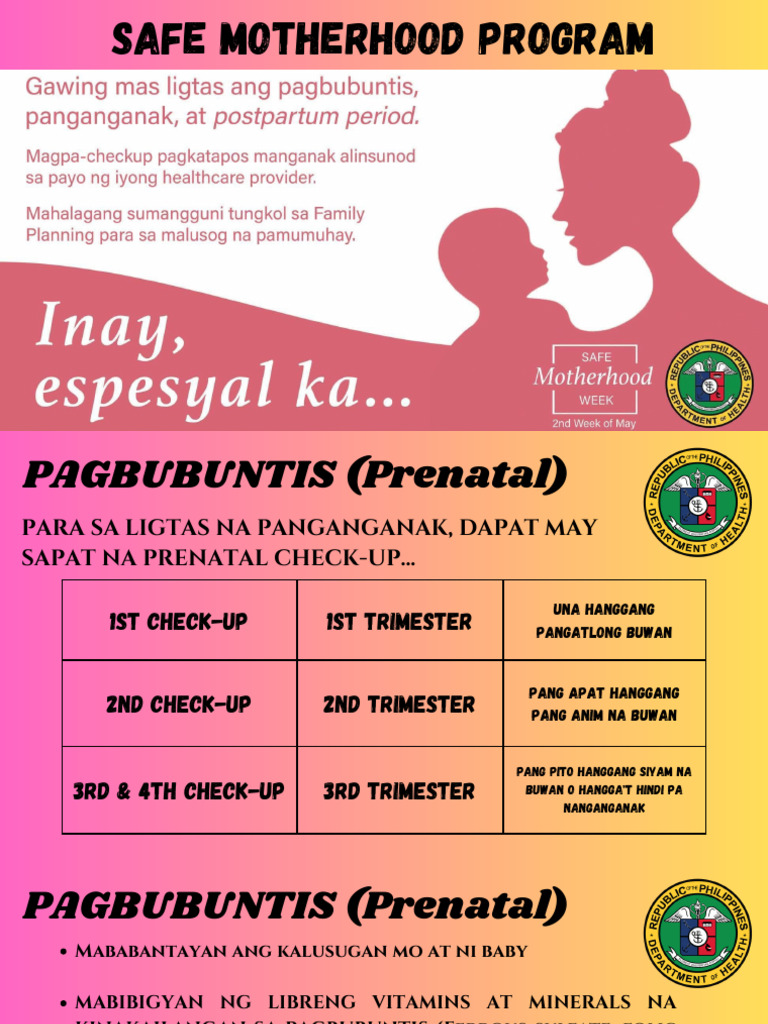 Safe Motherhood Program | PDF