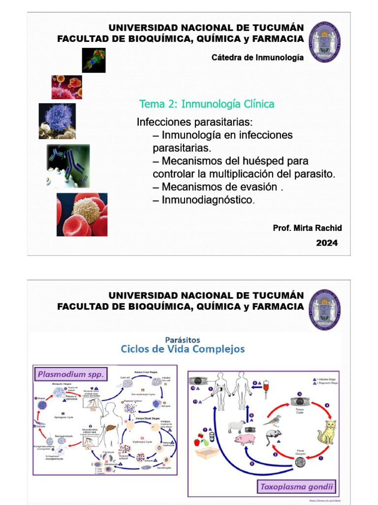 Inmunologia Contra Parasitos 2024 | PDF | Sistema inmune | Inmunología