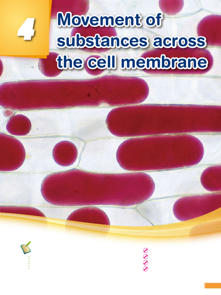HKDSEBio Bk1 Ch04 Eng | PDF | Cell Membrane | Diffusion