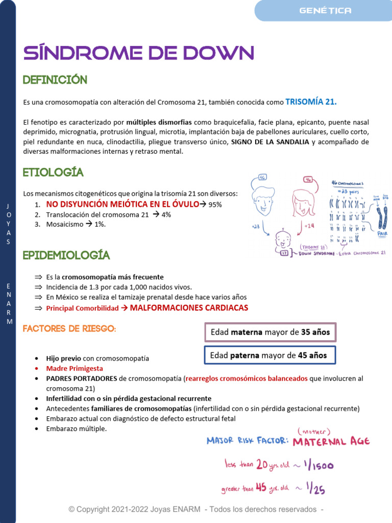 Síndrome de Down | PDF | Síndrome de Down | El embarazo