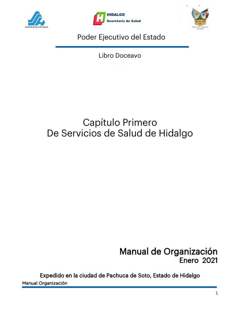 Manual de Organizacion Ssh 2021 | PDF | Cuidado de la salud