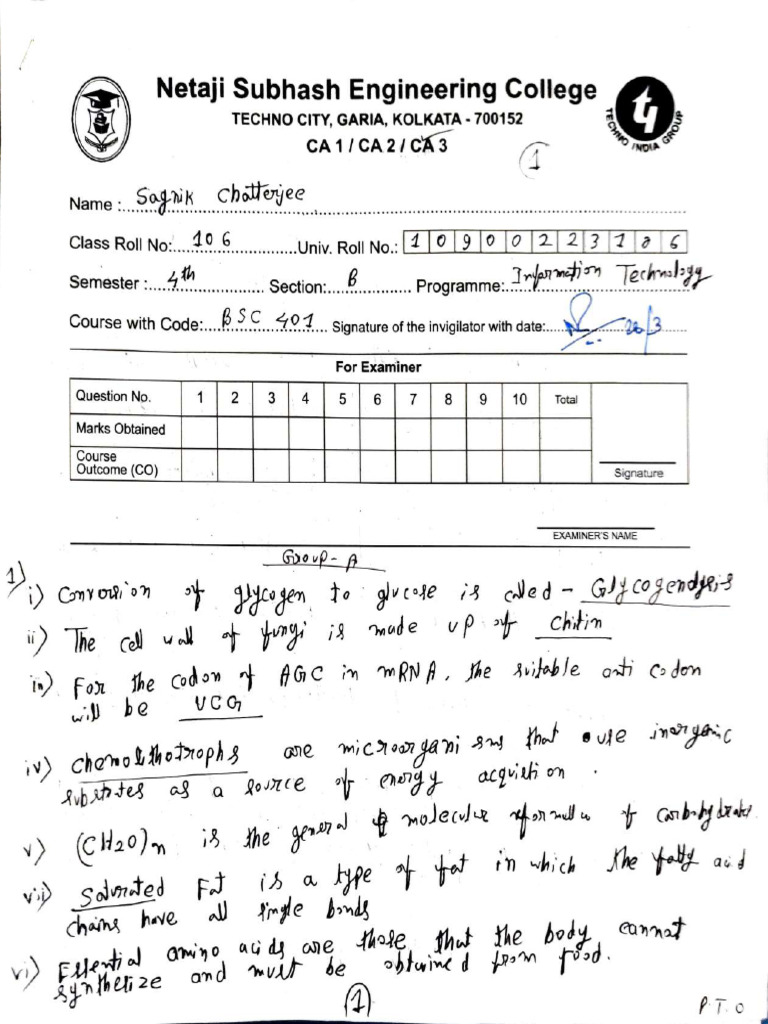 SagnikChatterjee ITB CA3 Compressed | PDF
