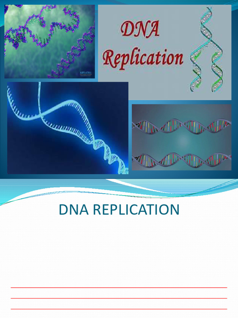 Understanding DNA Replication Process | PDF | Dna Replication | Dna