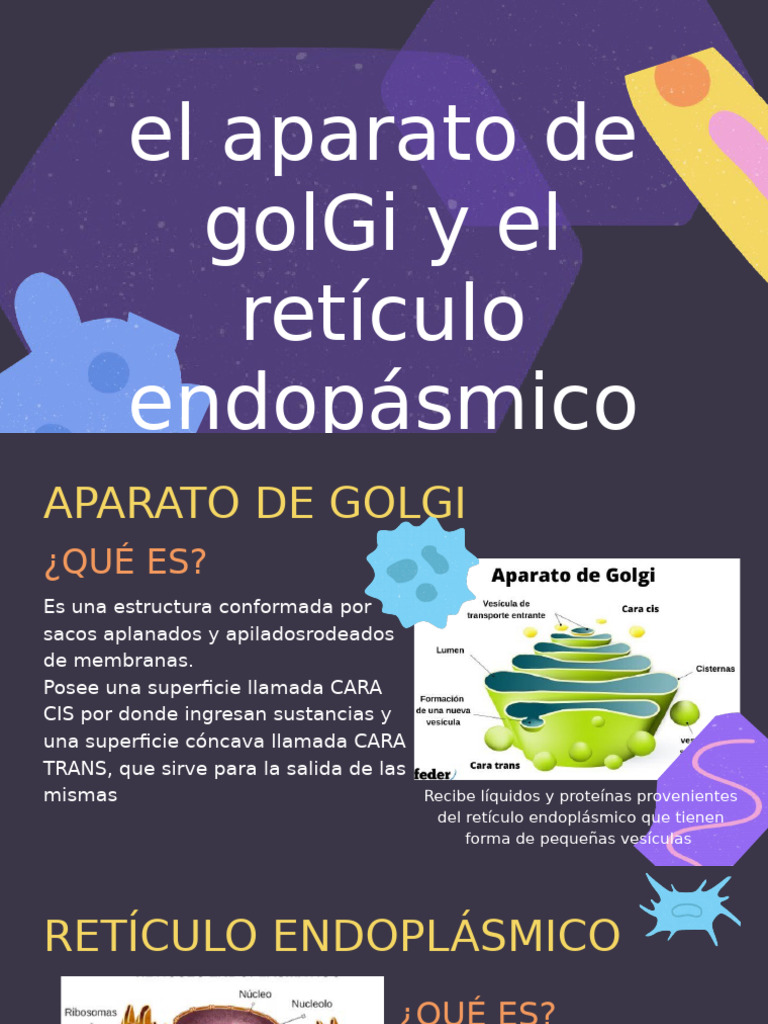 Bonilla Franco 5 to b | PDF