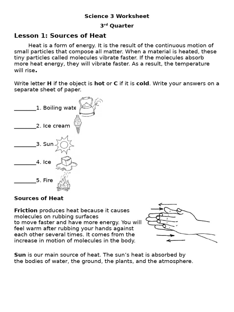 Science 3 Worksheet | PDF