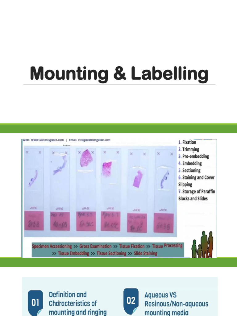 Mounting Labelling | PDF