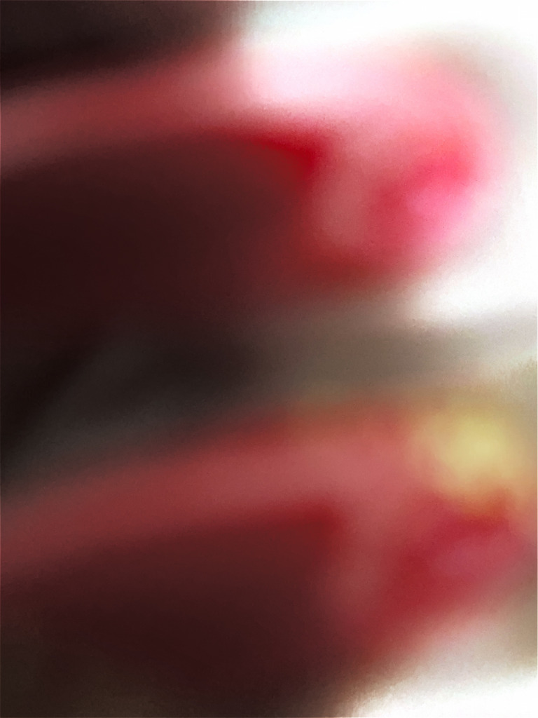 Documento Escaneado | PDF