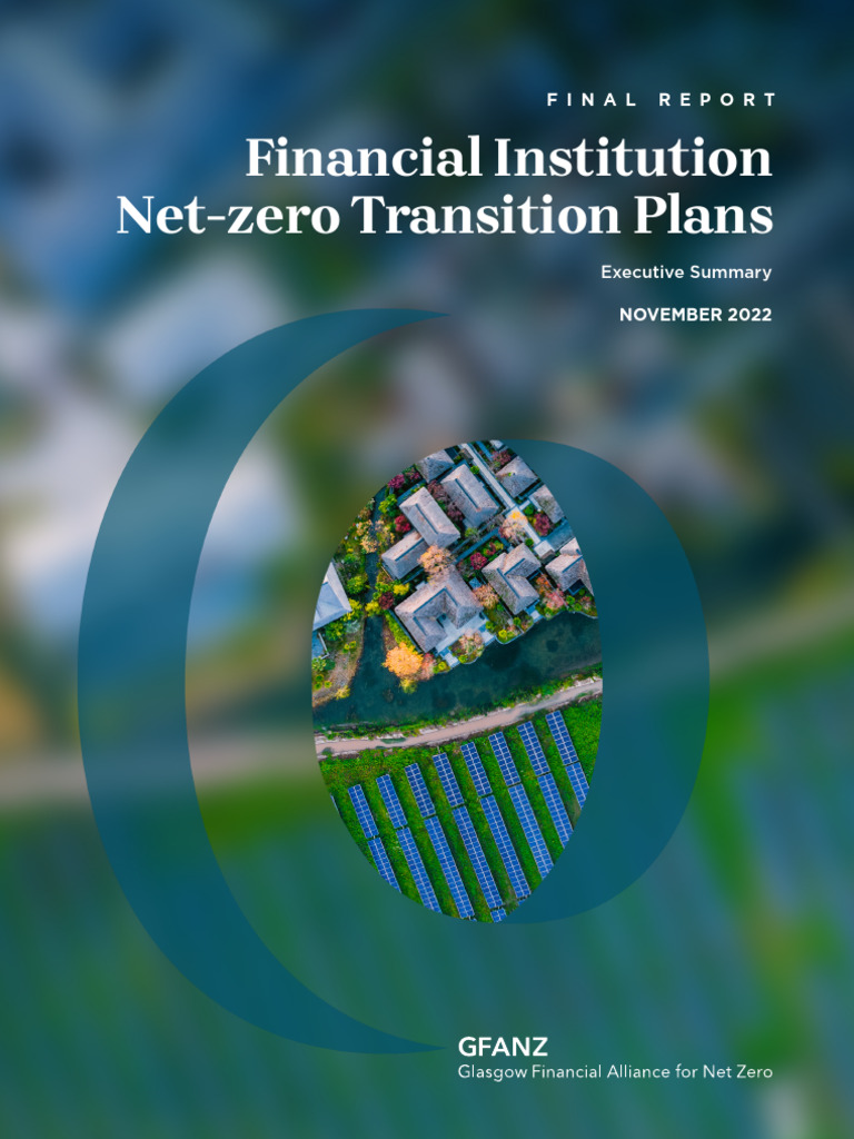 Net-Zero Transition Plans for Finance | PDF | Cost Of Living | Climate ...