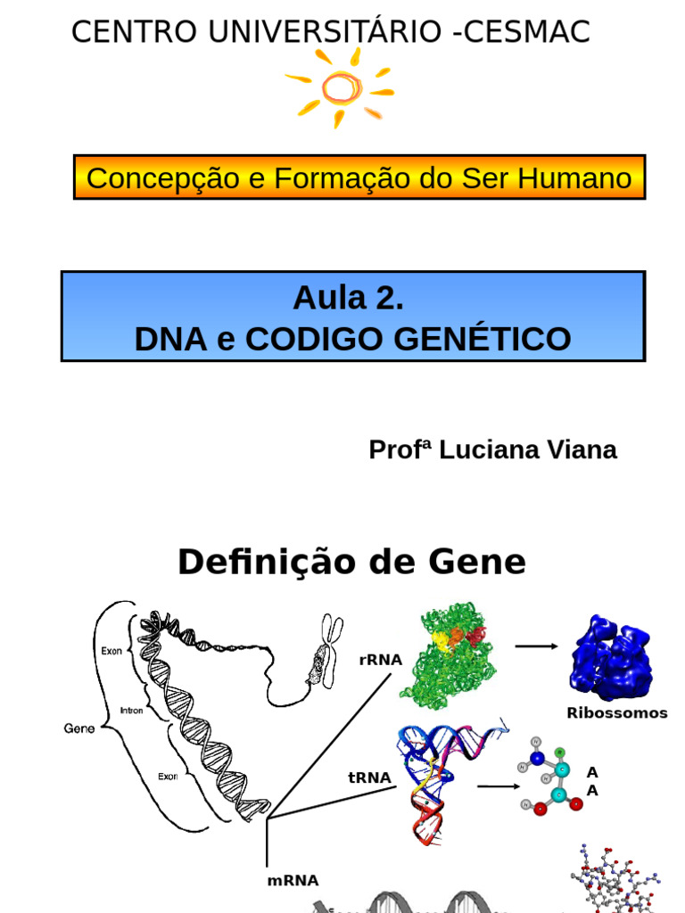 Estrutura e Função do DNA e RNA | PDF | RNA | Gene