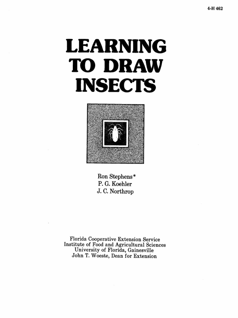 Learning To Draw Insects | PDF
