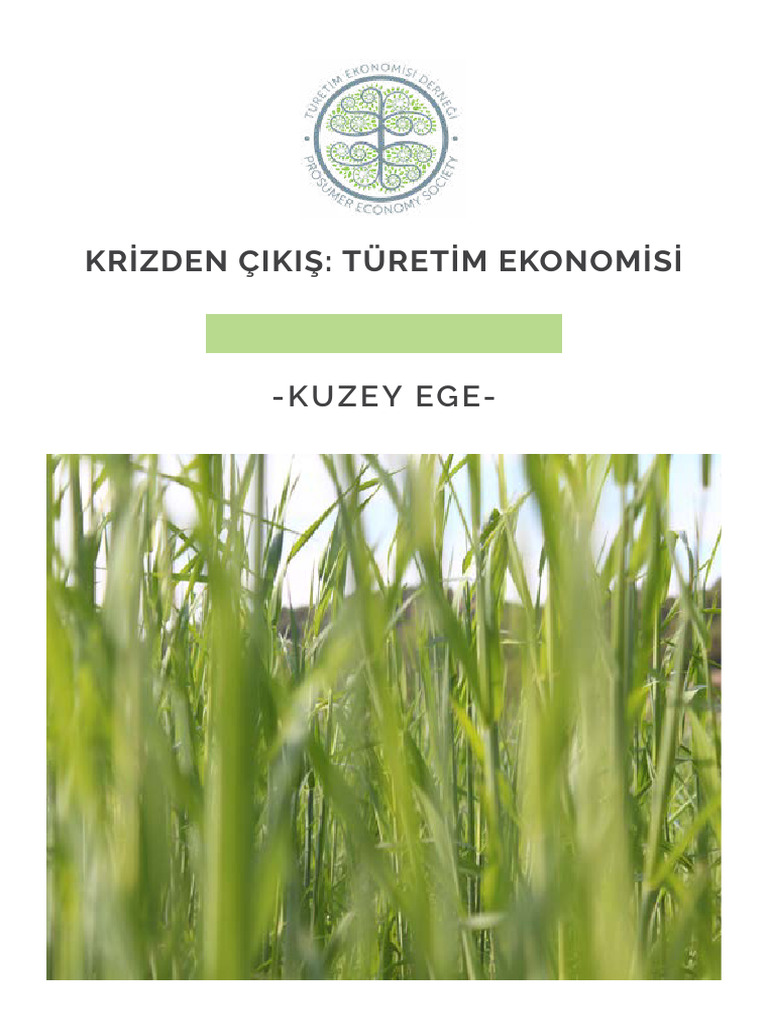 Krizden Cikis Kuzey Ege | PDF