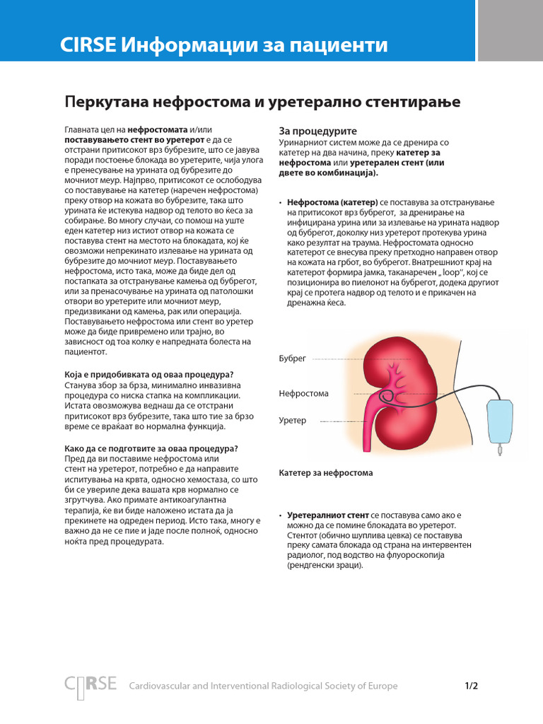 Nephrostomy and Ureteric Stenting | PDF